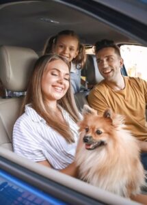 Home - Pini Insurance